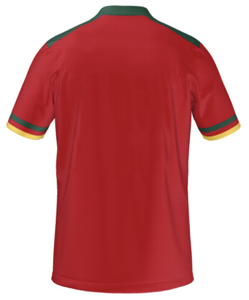 Customizable Official Cameroon FECAFOOT Red Pro Jersey – One All Sports